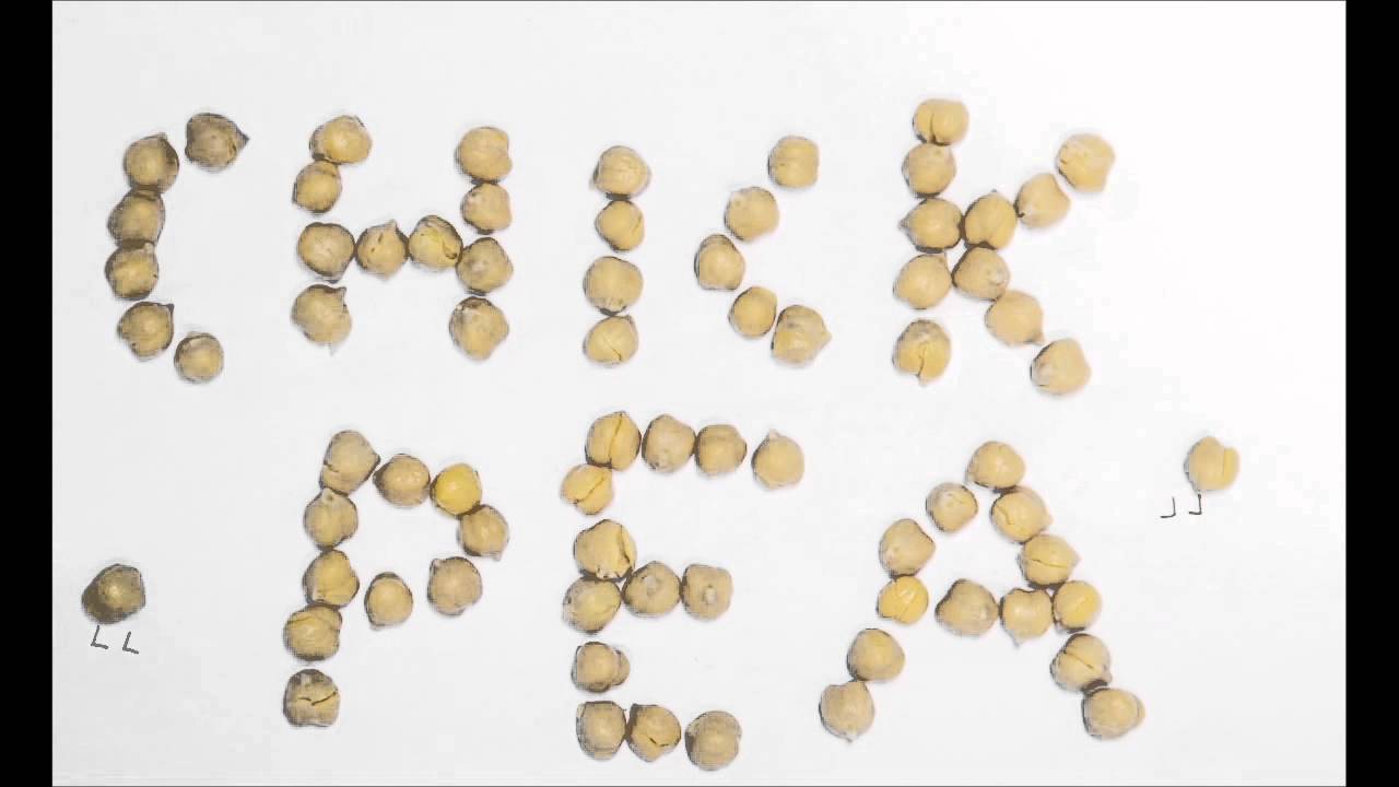 Roti chickpea animation - YouTube