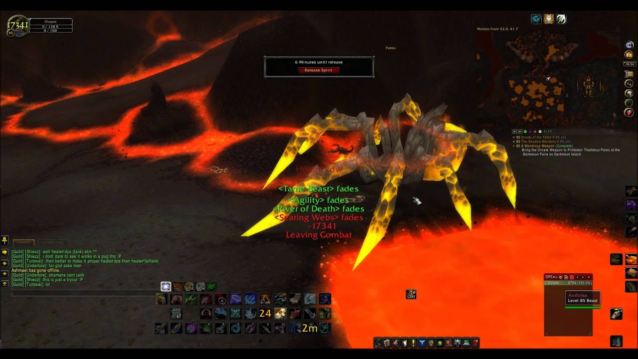WoW - How to tame Anthriss (One of the rare spiders in Cata) - YouTube