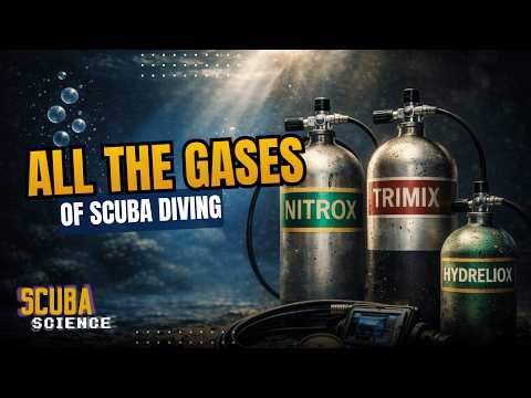 What Gases Do SCUBA Divers Breathe? From Air To Trimix, Hydreliox & Beyond