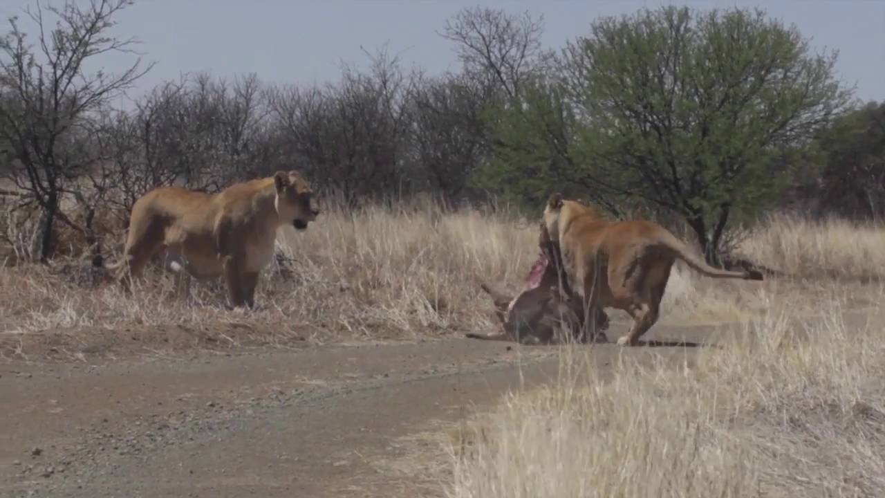 Visit Free State Province Resorts & Reserves - YouTube