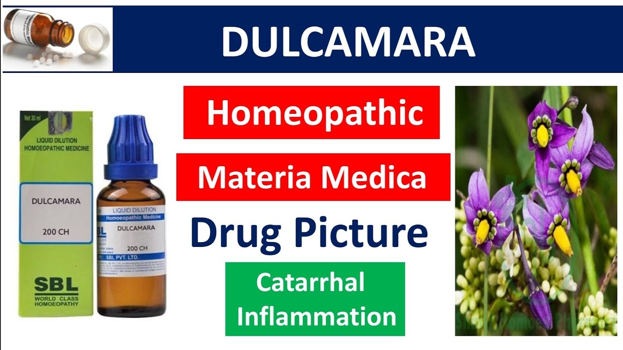 Dulcamara Drug Picture | Homeopathic medicine | Materia medica #bhms #dulcamara #drugpicture ...