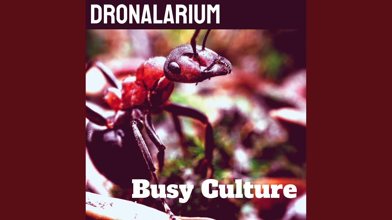 Busy Culture - YouTube