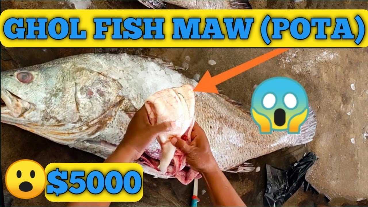 Ghol fish cutting_selling 𝙈𝙖𝙬(𝙥𝙤𝙩𝙖) | गोल मछली ने बदल दी किस्मत | sea ...
