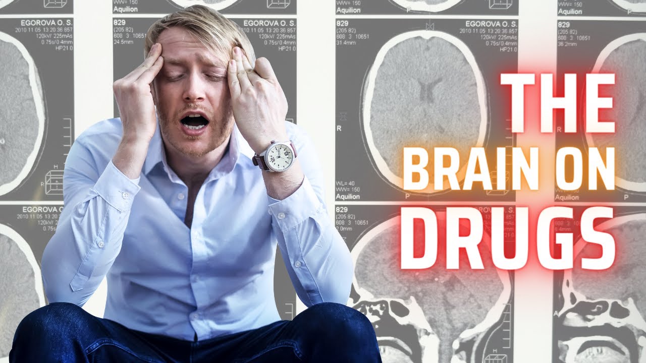The Brain on Drugs Understanding Addiction and Recovery - YouTube