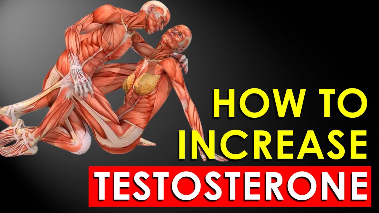 How to Quickly Increase Testosterone Levels in the Body - YouTube