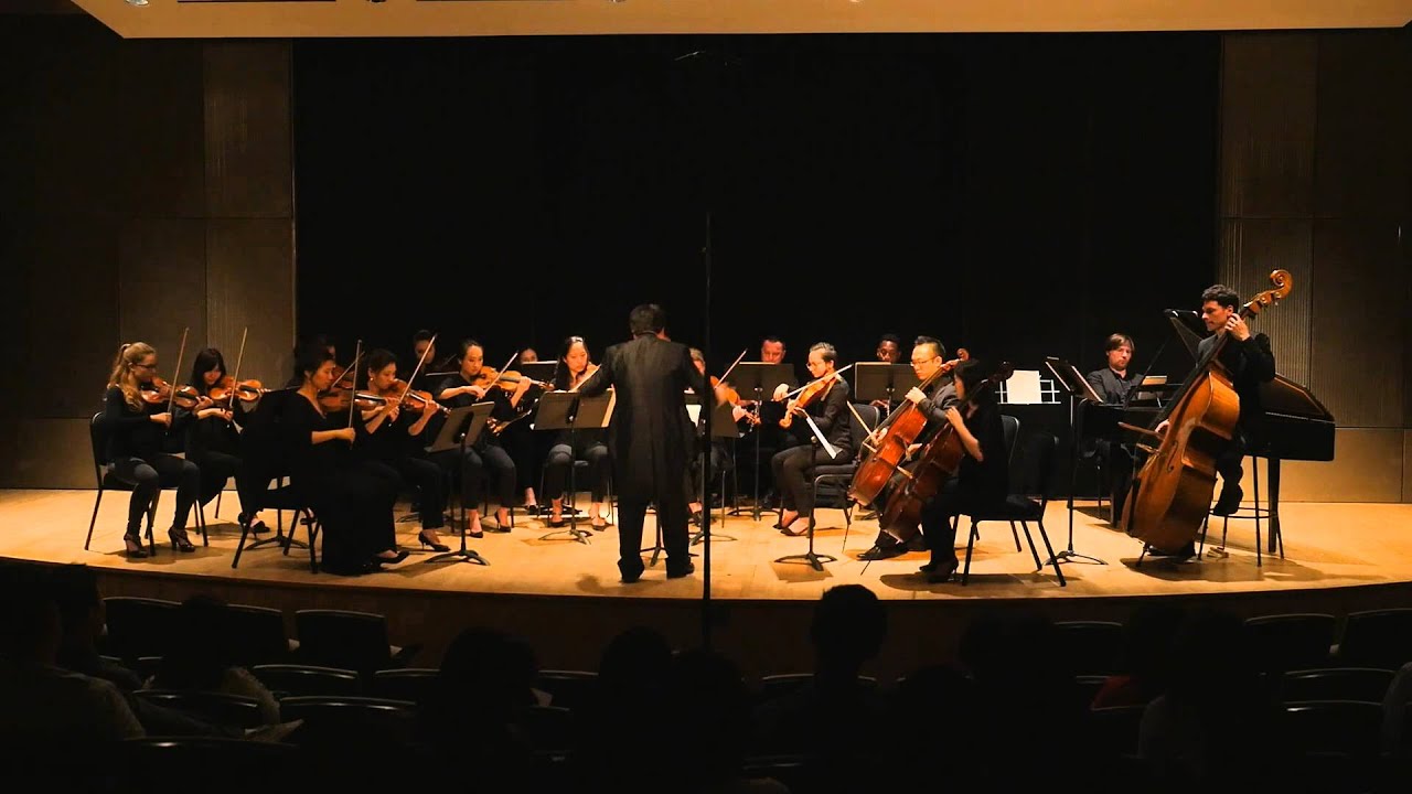 New York Classical Symphony Orchestra Sinfonia OP 6 No 6 in G minor I ...