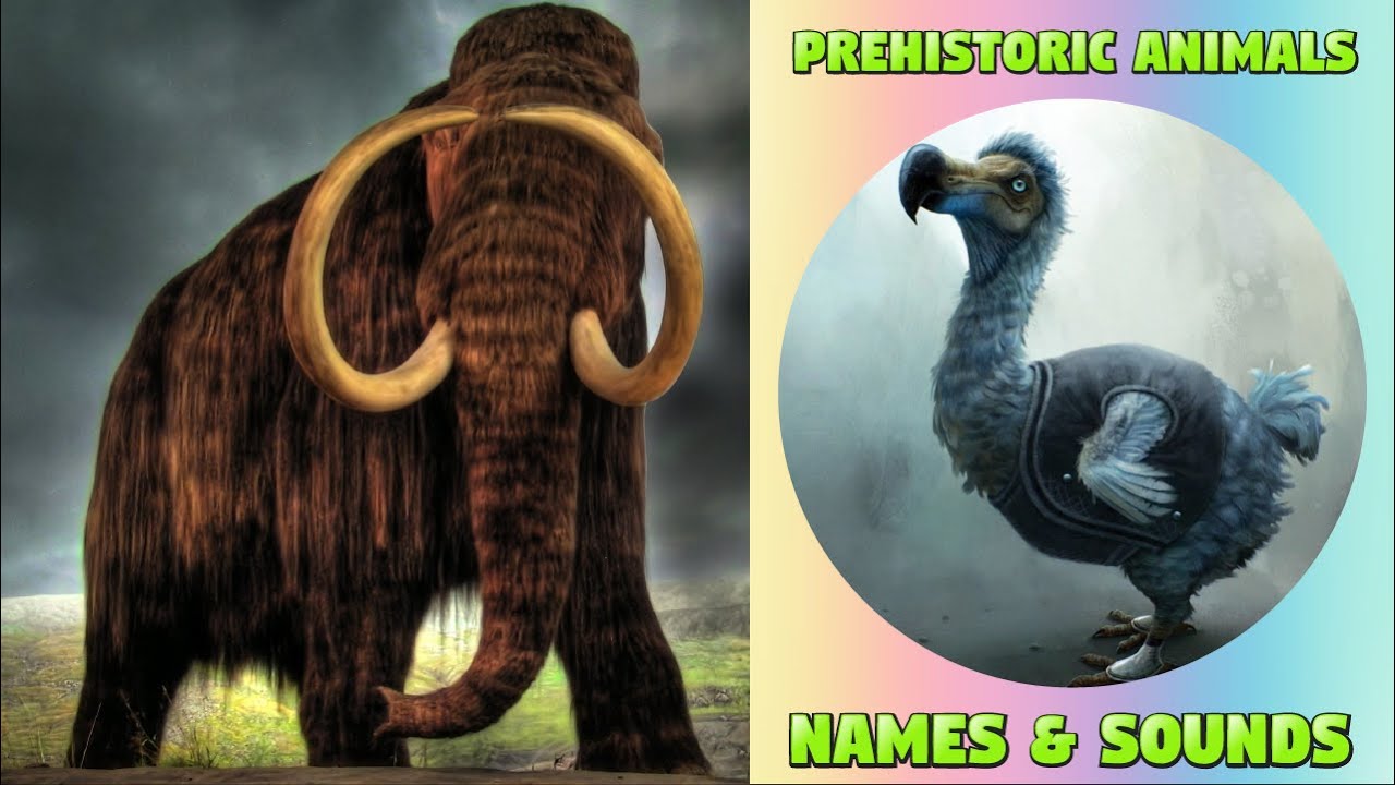 Prehistoric Animals Videos for Kids and Toddlers #dinosaur #prehistoric ...