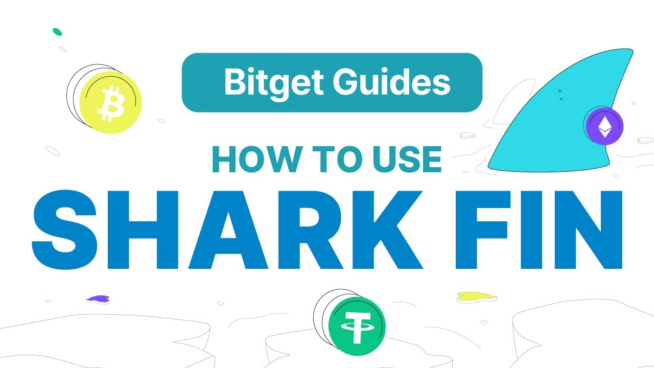 Unleash the Power of Shark Fin and Maximize Returns | Bitget Guides ...