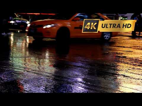 Rainy City Traffic Sounds for Sleeping & Studying | 1 Hour Ambient ASMR