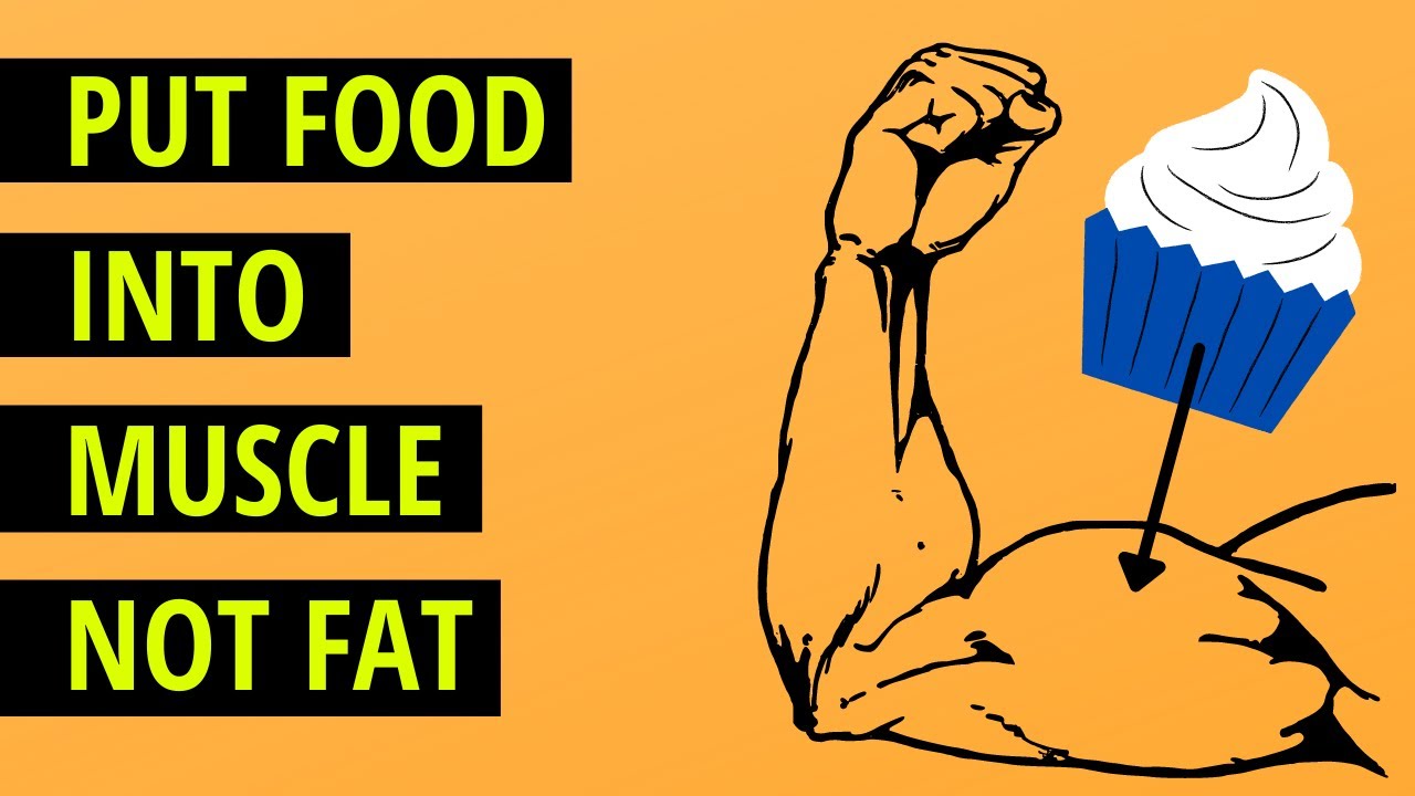 Direct Food Into Muscle Not Fat - Nutrient Partitioning Principles ...