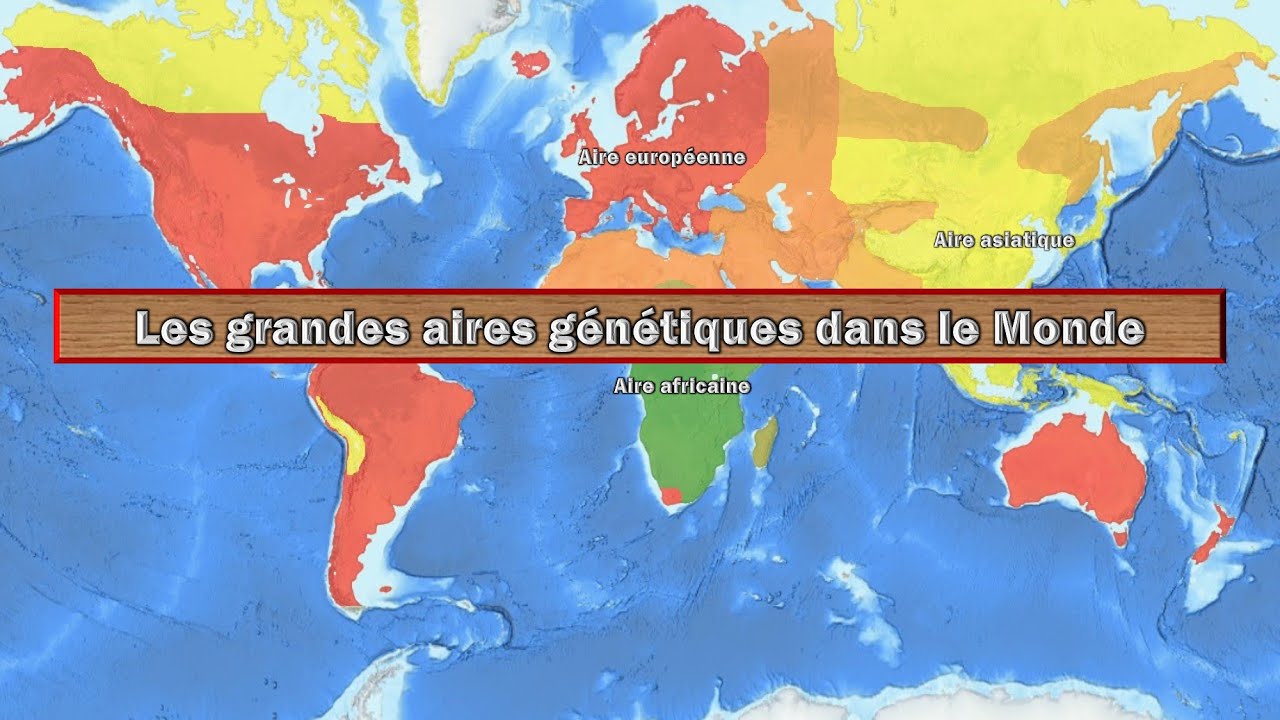 Les grandes aires génétiques dans le Monde et leur origine - YouTube