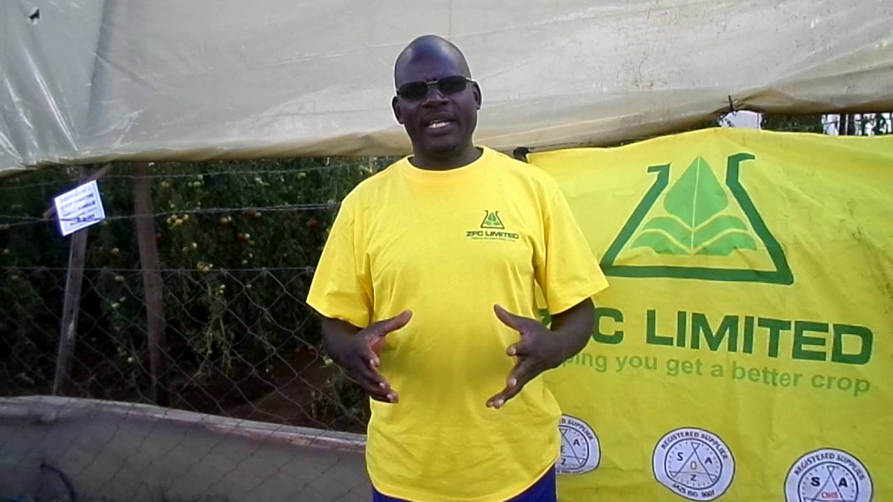 ZFC Farmer Interview at Rugare Greenhouse in Harare - YouTube