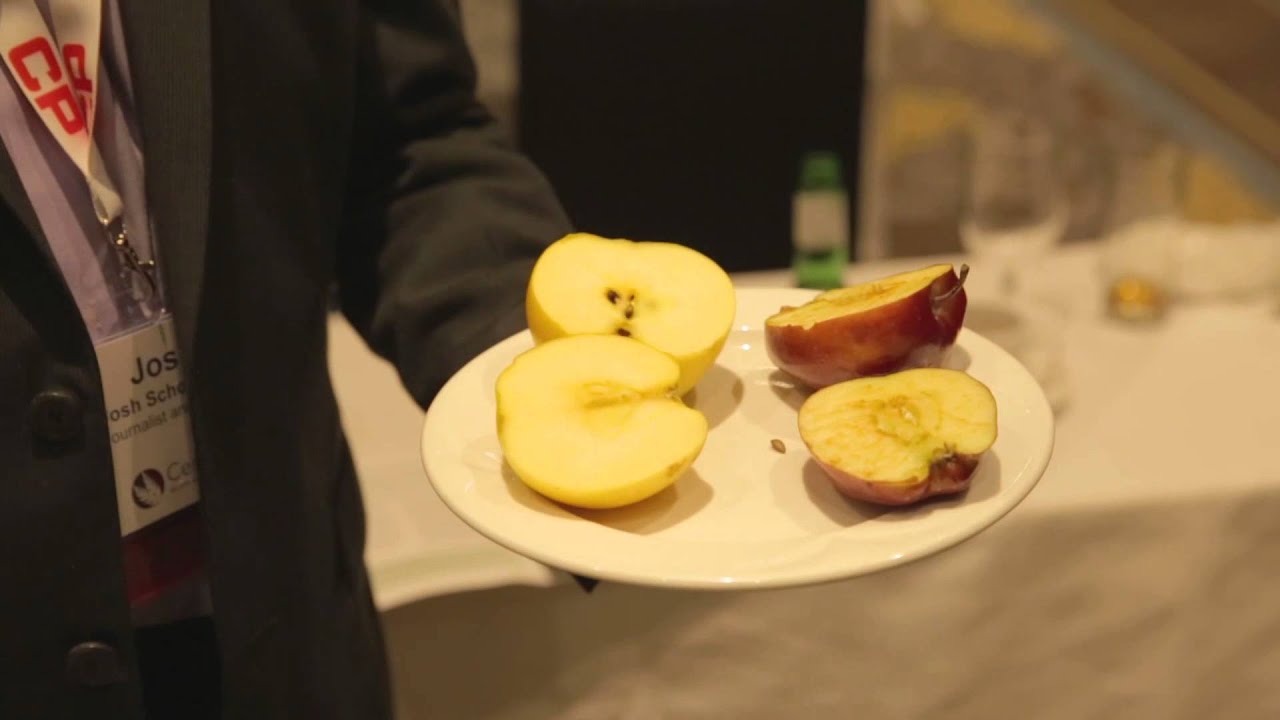 The Future of Food with Josh Schonwald at Cereals North America 2015 ...
