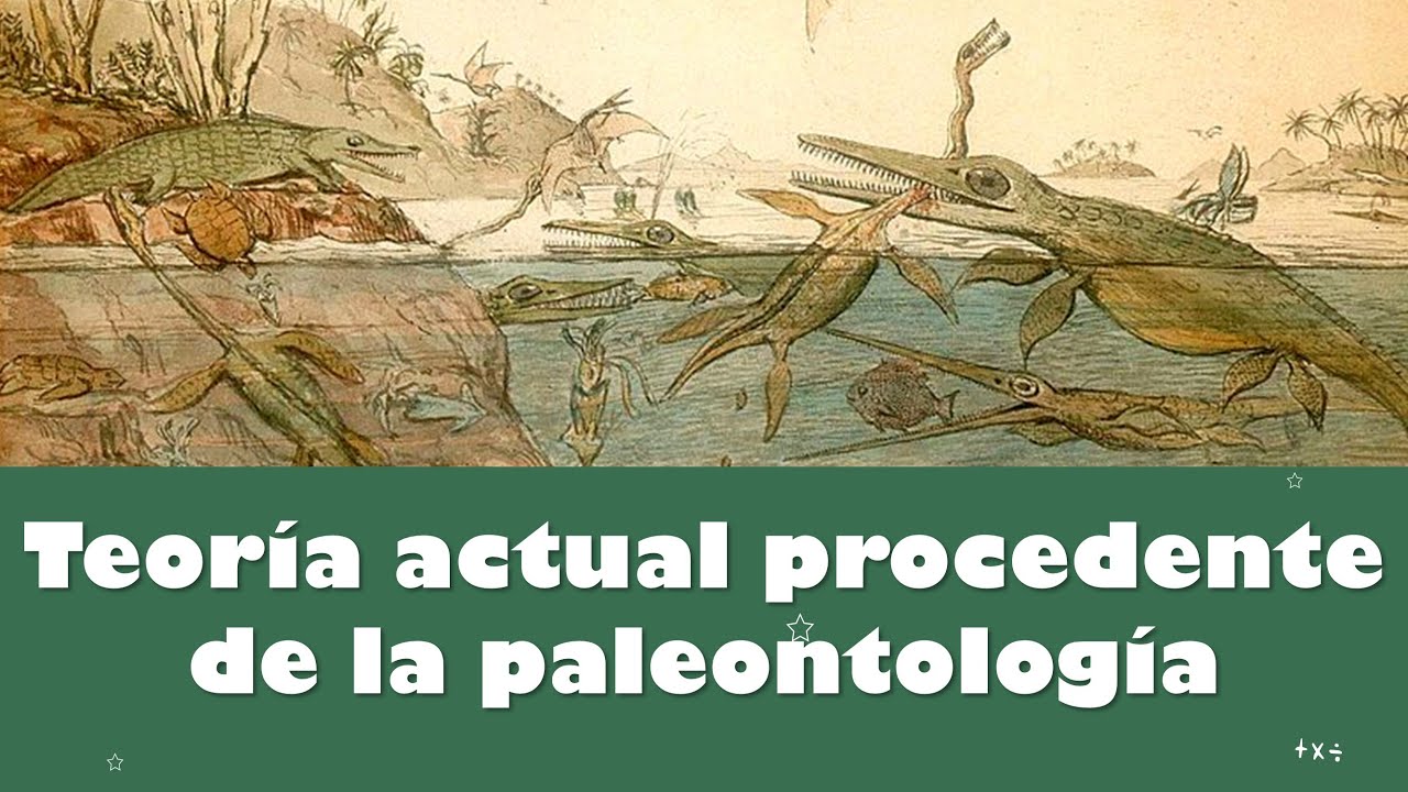 Teoría De La Paleontología – FSQRD