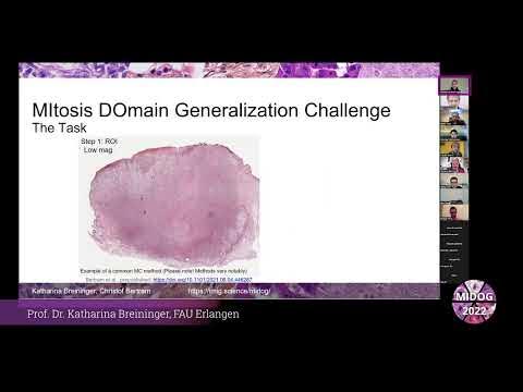 Mitosis Domain Generalization Challenge (MIDOG 2022) MICCAI Workshop (Full length) - YouTube