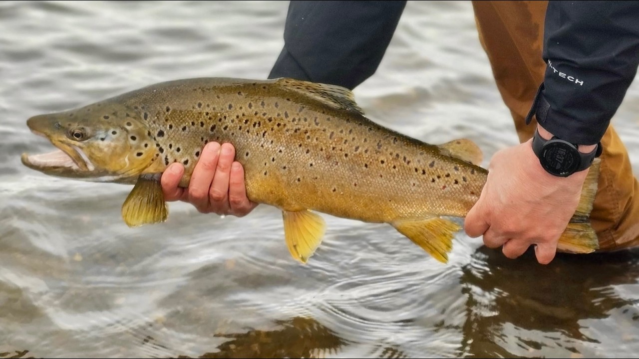 PESCANDO TRUCHAS EN TIERRA DEL FUEGO - USHUAIA, TEMPORADA 2025/2026 ...