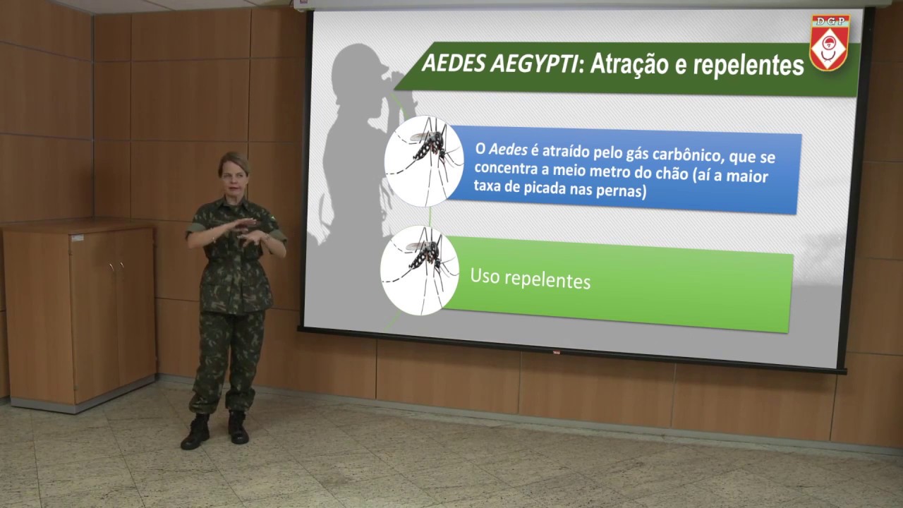 Combate ao Aedes Aegypti - Aula 02 - YouTube
