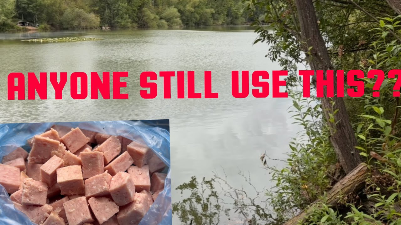 CARP FISHING WITH LUNCHEON MEAT-DOES IT STILL WORK?? - YouTube