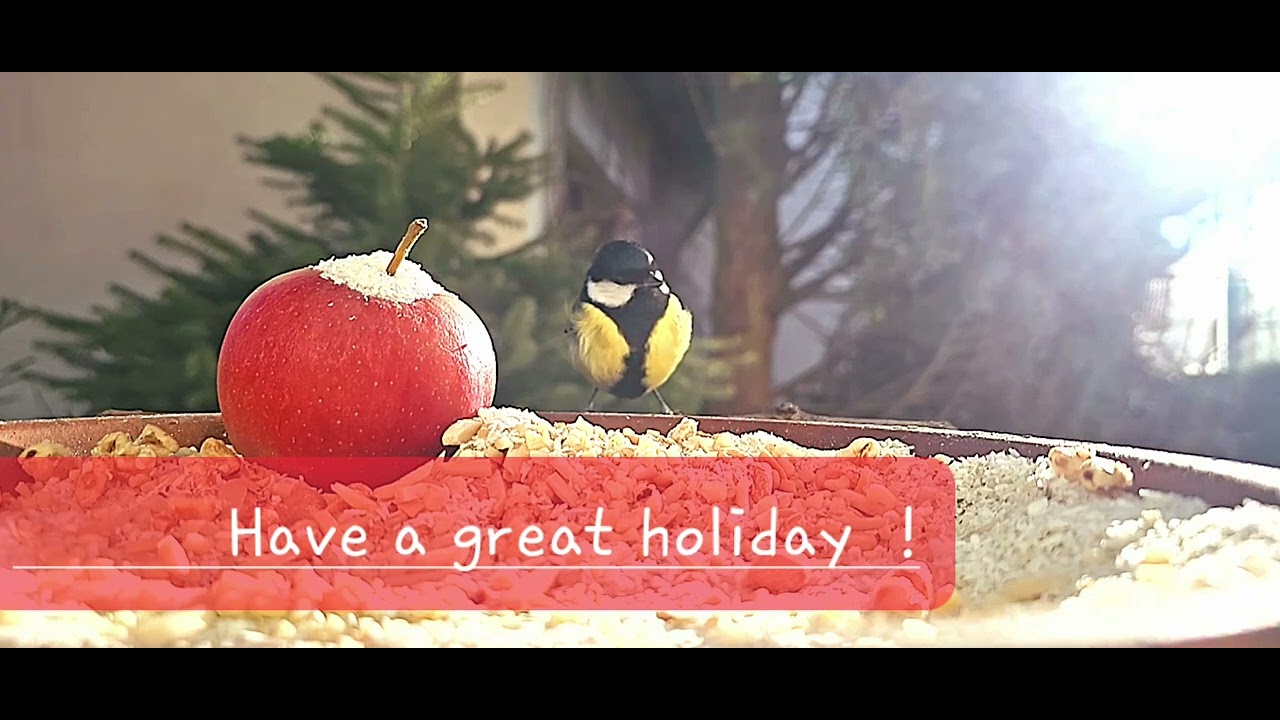 Have a great holiday ! - YouTube