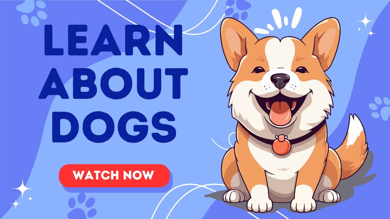 Learn about dogs for toddlers - YouTube