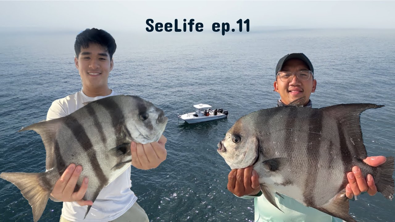 The BEST Pound for Pound Fish to Fight! - YouTube