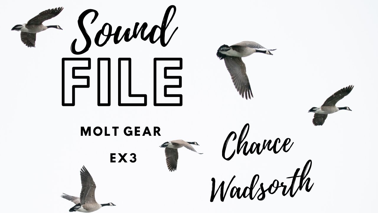 Molt Gear EX3 Sound File - Chance Wadsworth - YouTube