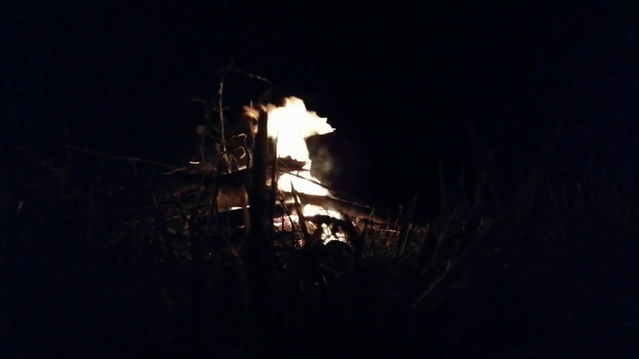 CampFire 1h at Lakeside - Frogs croaking at night - ribbit ribbit ...