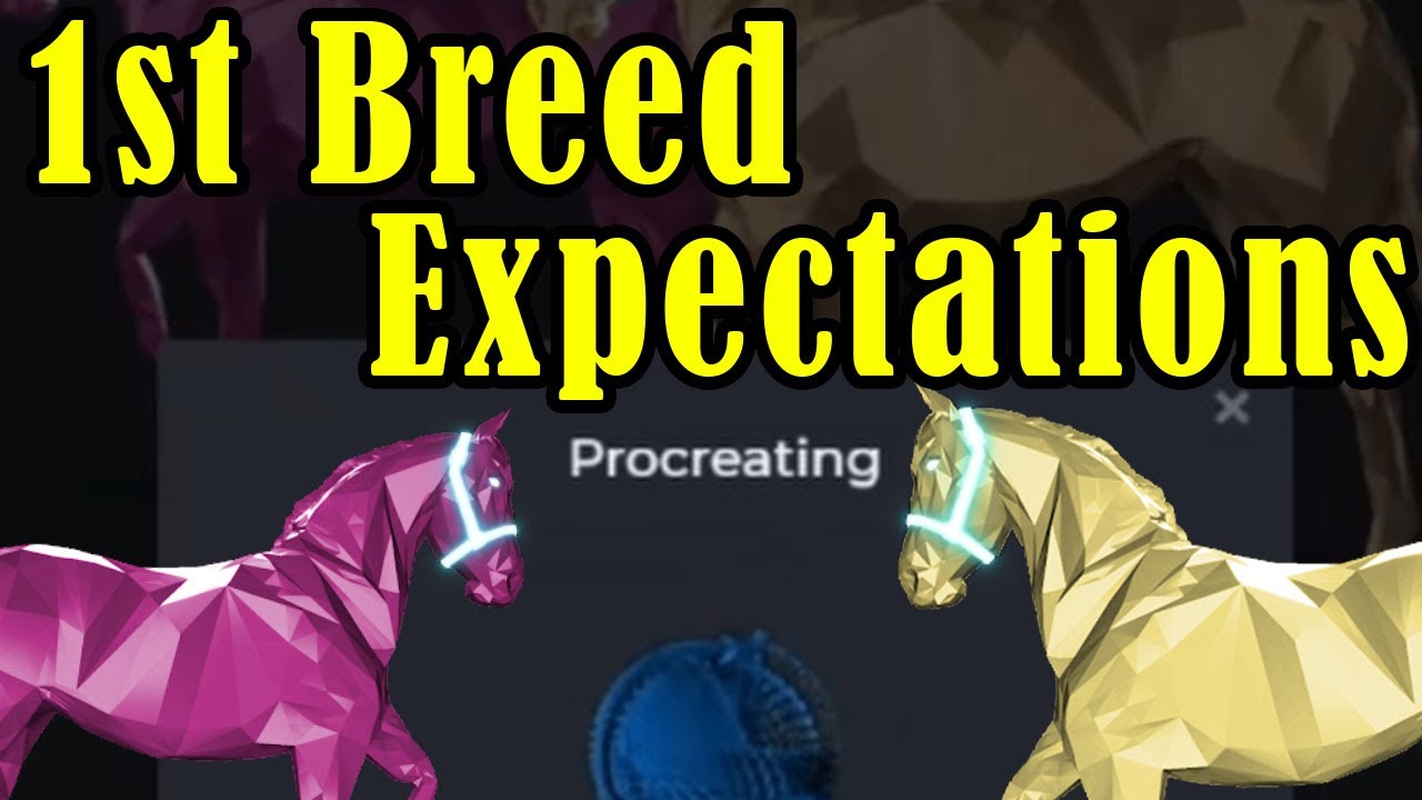 1st Time Breeding : Setting Proper Expectations for Zed Run Success ...