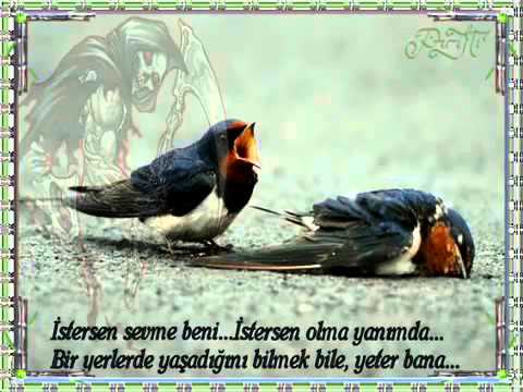 yusuf harputlu acımadınmı WWW.SESLIUMUDUMSUN.COM