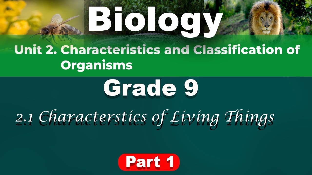 Grade 9 Biology Unit 2 Part 1 Characteristics And Classification Of grade-9-biology-unit-2-part-1-characteristics-and-classification-of