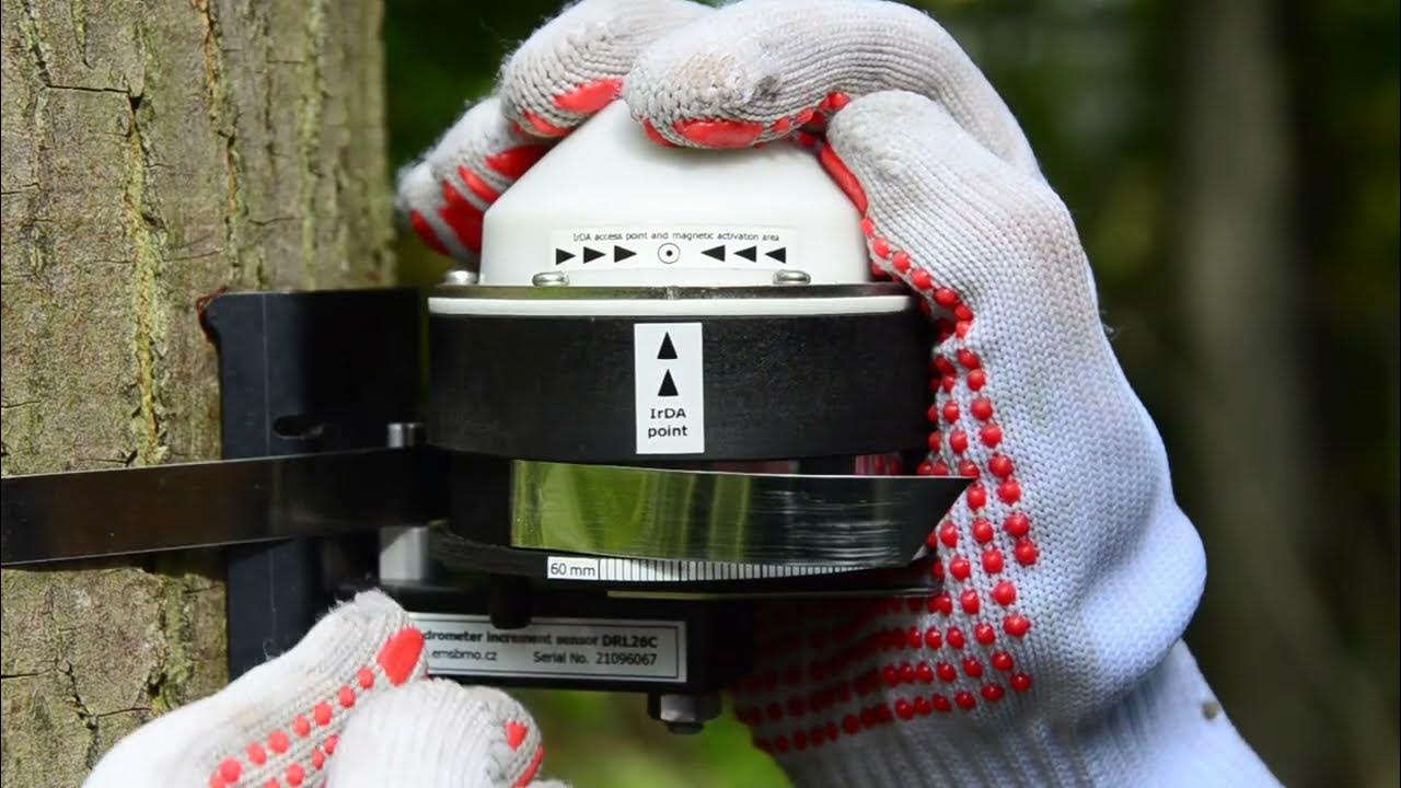 Dendrometer increment sensor type DRx26x - Installation - YouTube