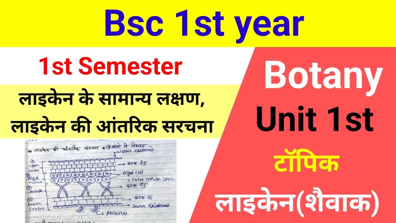 Bsc first year botany. लाइकेन . bsc first year botany unit first. Bsc ...