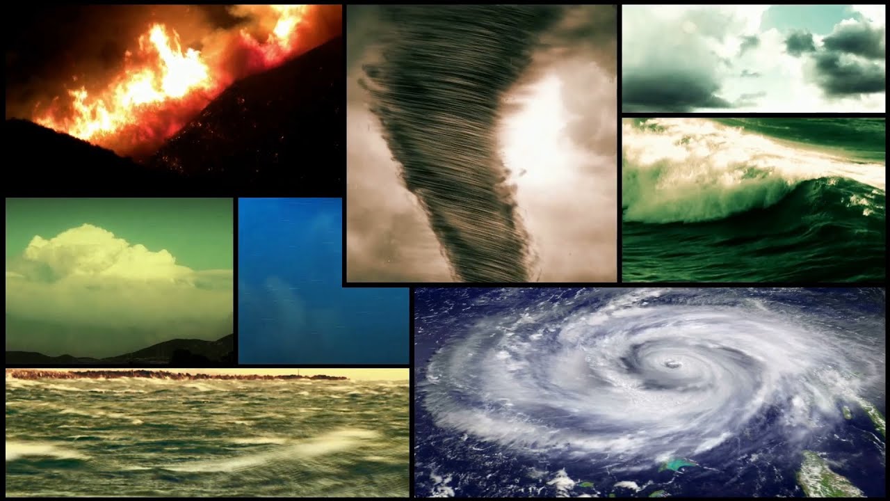 Top 10 Natural Disasters That Shook the World! - YouTube