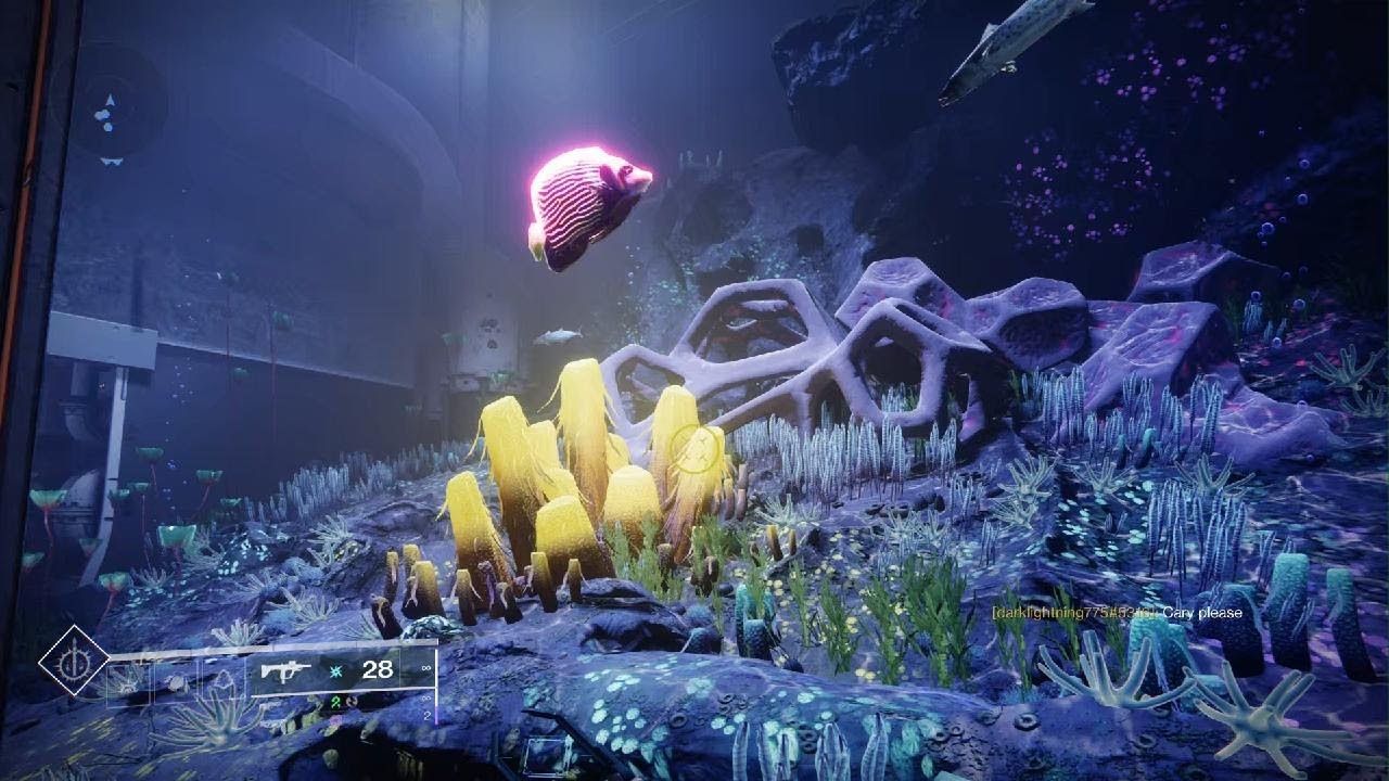Destiny 2 exploring outside the helm - YouTube