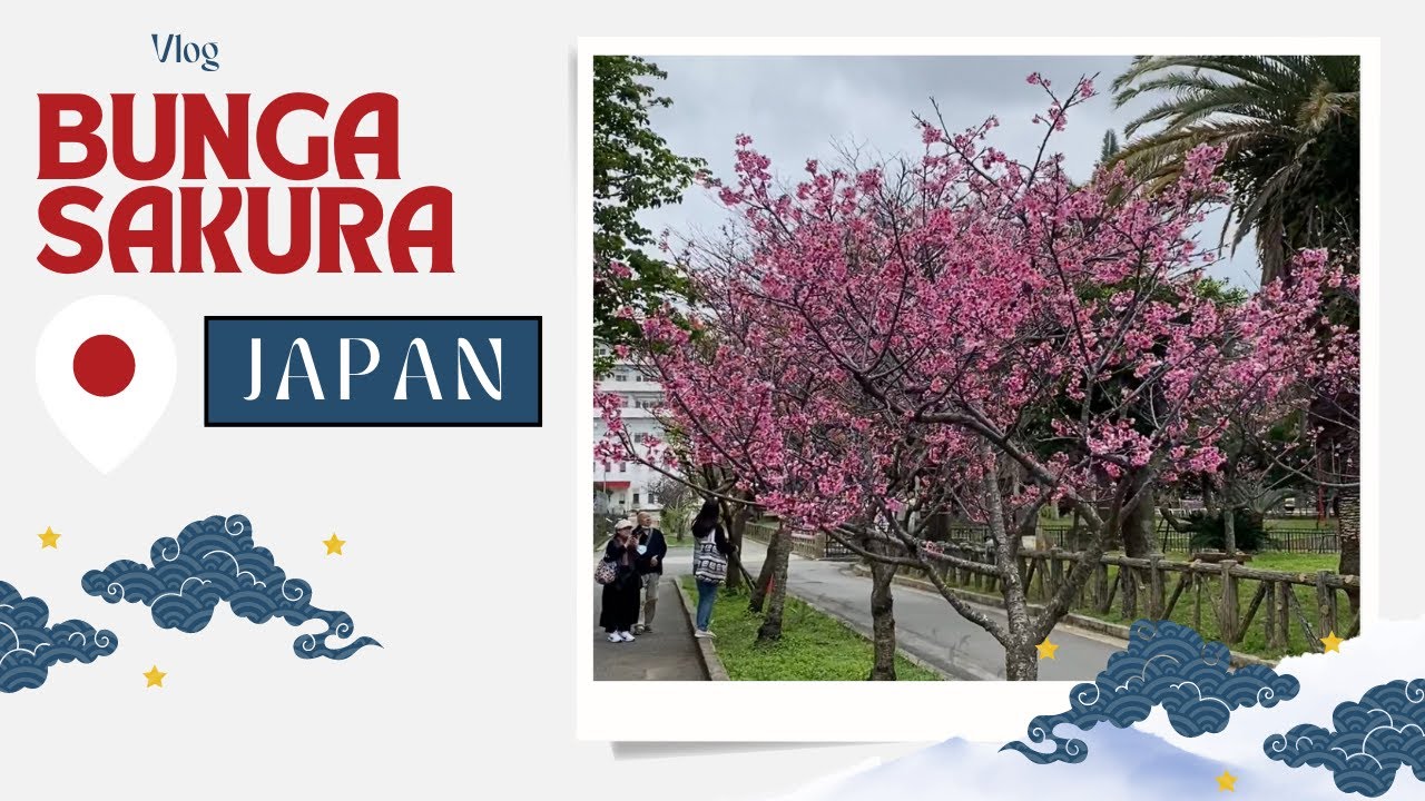 AKU SUKA YANG PINK SEPERTI BUNGA SAKURA!!! MELIHAT KEINDAHAN BUNGA ...