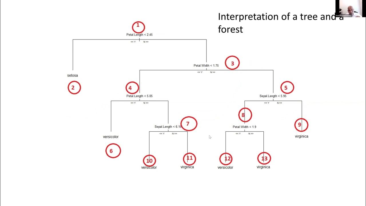 AIHES 2022 Workshop Series: The Basics with Nethra Sambamoorthi - YouTube