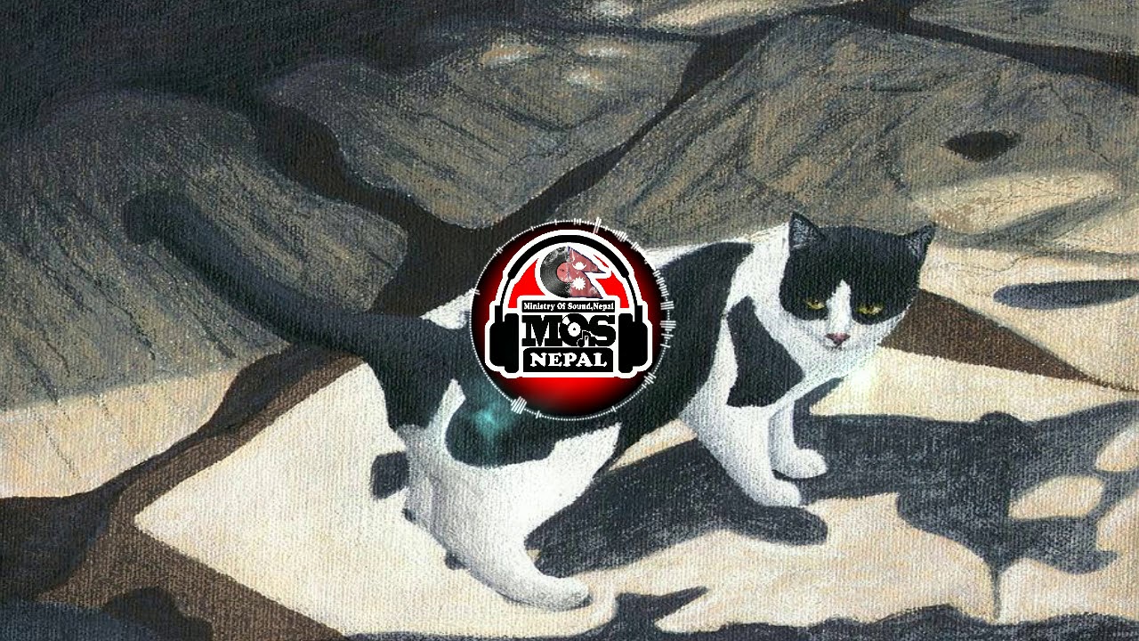 DJ Iraj - Cat Of Younkerland - YouTube