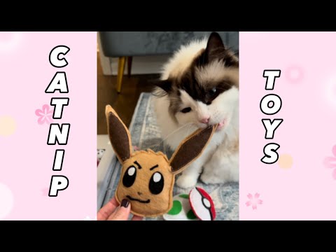 Eevee’s Reaction to the Catnip Toys