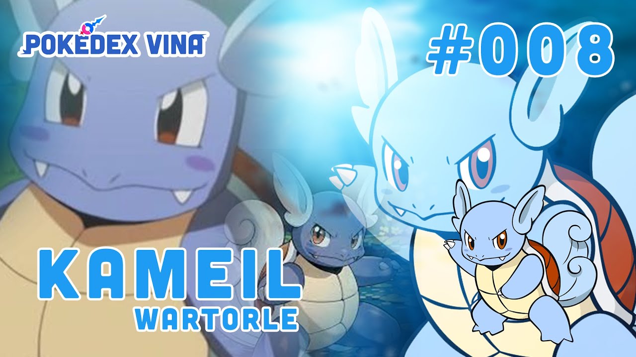 Pokédex Vina | #008 - Kameil - Wartortle - YouTube