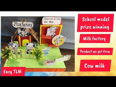 Milk factory Diy school model| cow milk products school model | TLM ...