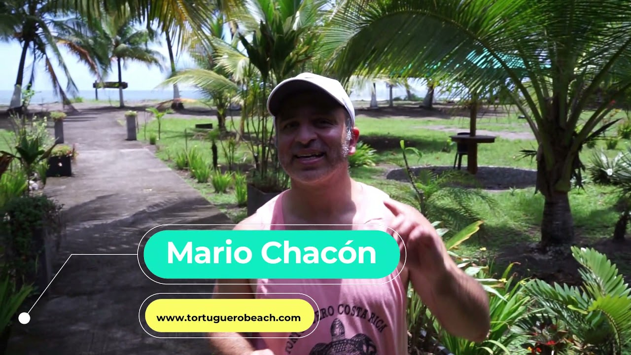 Mario Chacón de la Media Docena en Tortuguero, Costa Rica - YouTube