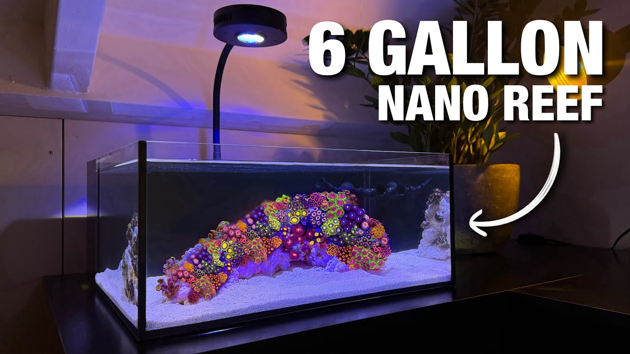 Setting up my New Nano Reef Tank: Step by Step Tutorial - YouTube