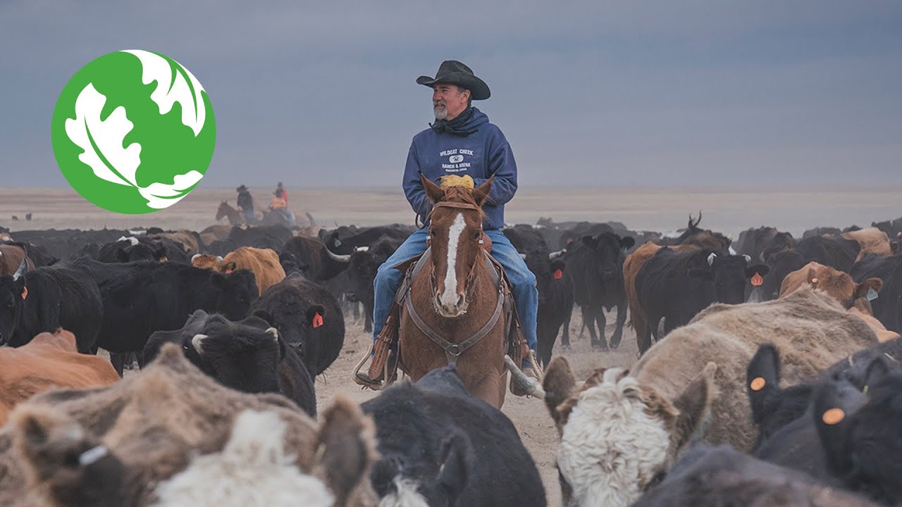 Harvesting Hope: How the Farm Bill Saved the Hatcher Family Ranch - YouTube