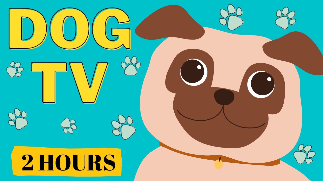 Relax My Dog Music For Dogs And Pets YouTube relax-my-dog-music-for-dogs-and-pets-youtube