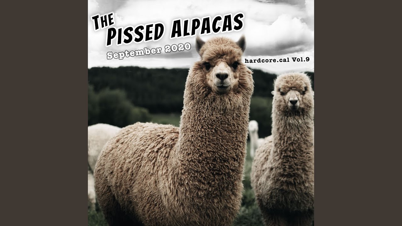 September 1, 2020: National No Rhyme (Nor Reason) Day - YouTube