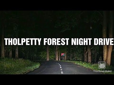 THOLPETTY FOREST NIGHT DRIVE/KERALA#godsowncountry#forest