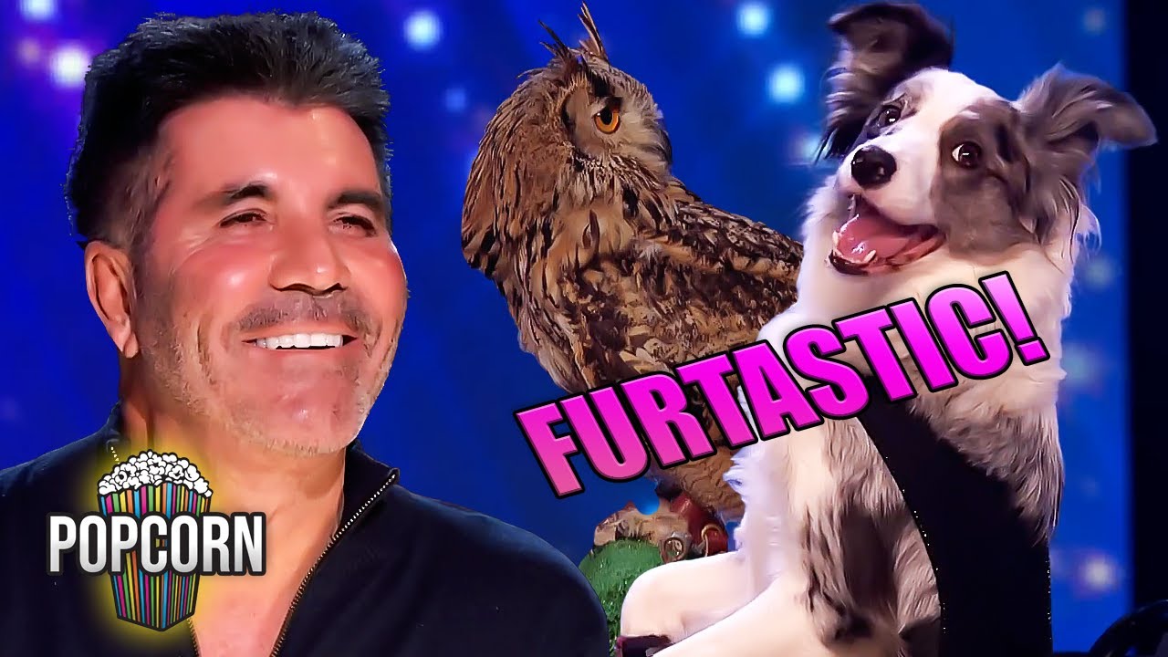 10 FURTASTIC Animal Auditions on Britain's Got Talent! - YouTube
