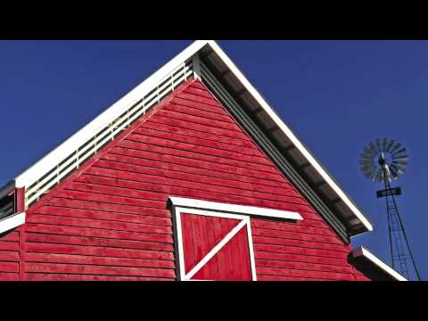 Submission by Alicia Daigle - YouTube