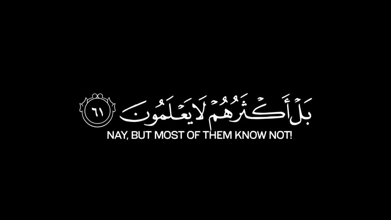قل الحمد لله وسلام على عباده الذين اصطفى ماتيسر من سورة النمل القارئ