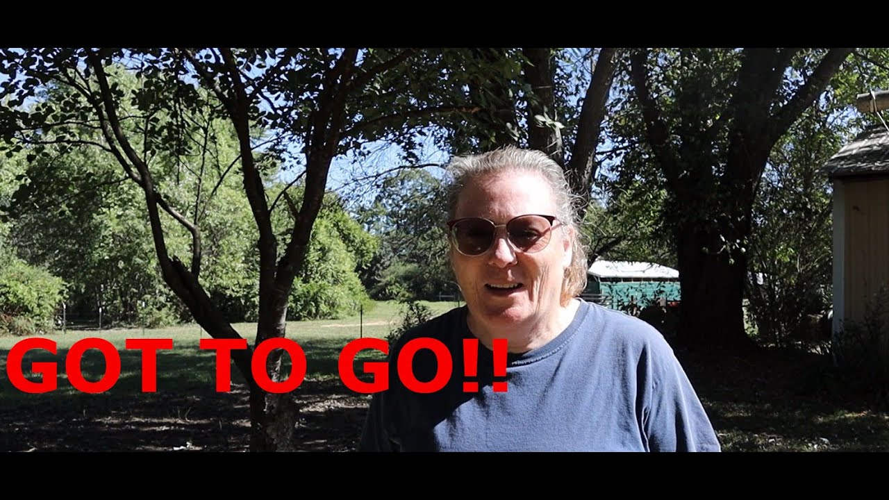 When ya Gotta Go, Ya Gotta Go! - YouTube